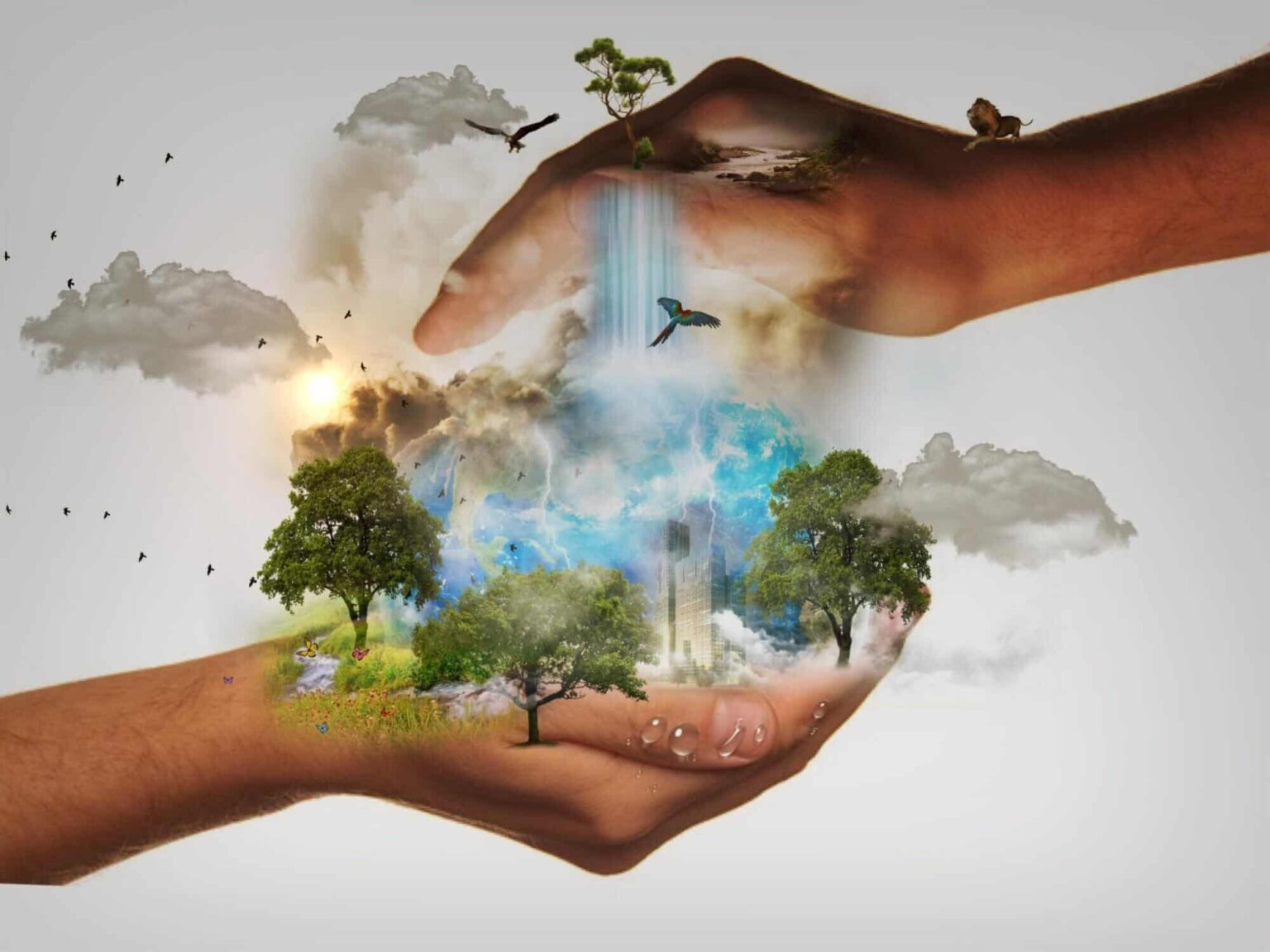 Deep Root Fertilization: A Guide for Healthy Trees